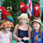 Phuket Sighseeing 6 Hrs. (Privet Car) - Why This Tour Works for Travelers