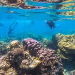 Phuket: Similan Day Trip by Speedboat - The Value and Experience Breakdown