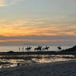 Phuket: Sunset Beach Horseback Journey - The Itinerary in Detail