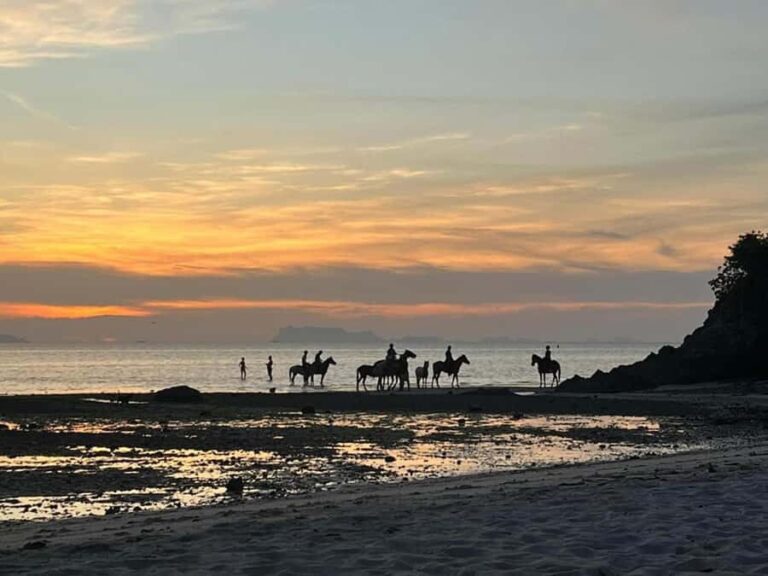 Phuket: Sunset Beach Horseback Journey - The Itinerary in Detail