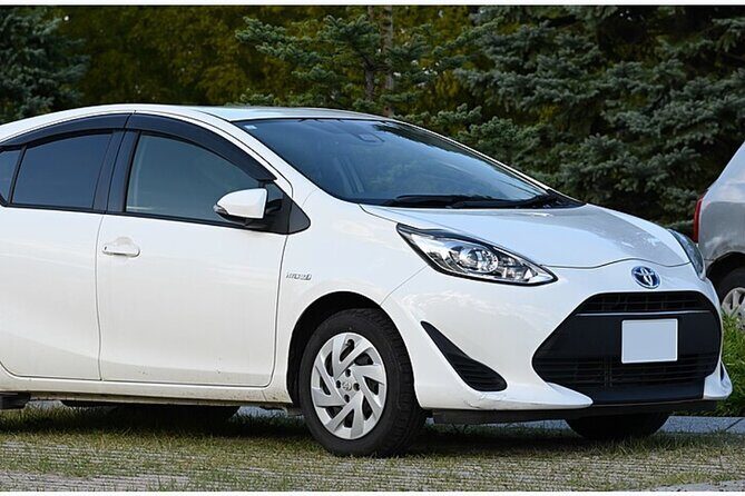 Pick up service from Chinggis khan airport to capital Ulaanbaatar - What to Expect on the Day