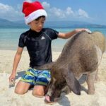 Pig Island ,Snorkeling, Private Long Tail Boat (Local Thai Experience) - What’s Included and What’s Not