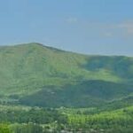 Pigeon Forge: Smoky Bear Discovery Tour - Who Will Love This Tour?