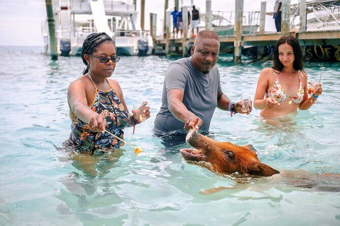 Piggy Splash Dash Of Rose Island Group Tour - Authentic Experiences and Traveler Tips