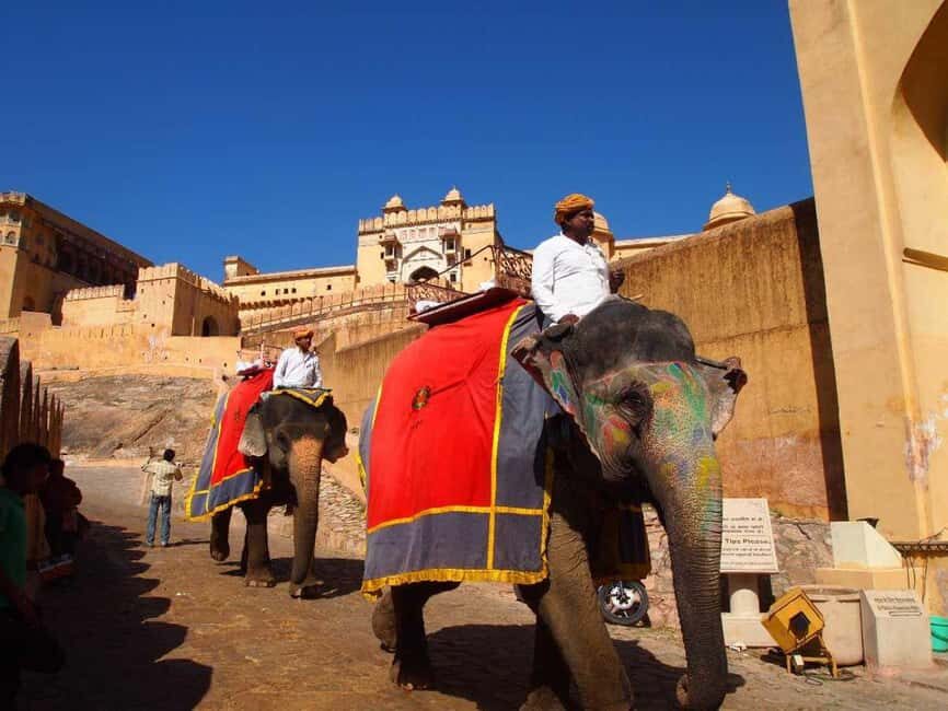 Pink City of Rajasthan, Jaipur Exclusive Tour (02 Days) - Exploring Jaipur: What You Can Expect