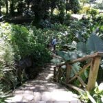 Pirates and Beach Tour with Detention Tours - Who Will Enjoy This Tour?