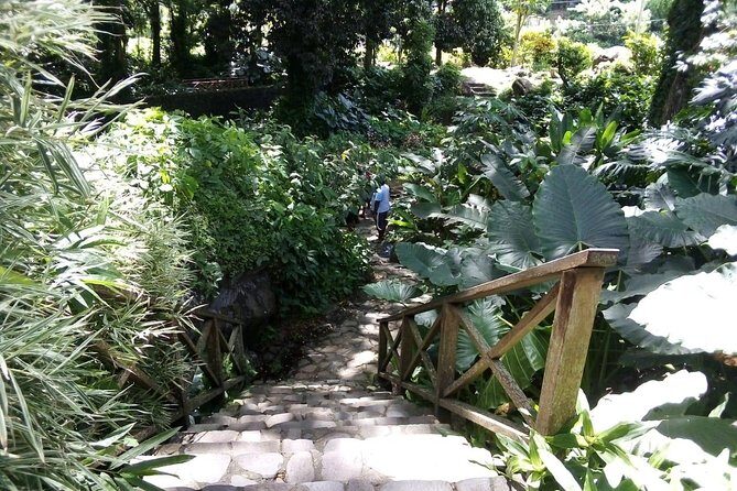 Pirates and Beach Tour with Detention Tours - Who Will Enjoy This Tour?