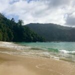 Pirate's Bay Day Trip with Lunch - Discovering the Historical Significance