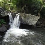 Pirates of the Caribbean SVG with Trubb Taxi Tours - Authentic Experiences and Review Highlights