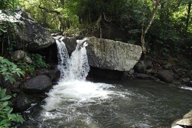 Pirates of the Caribbean SVG with Trubb Taxi Tours - Authentic Experiences and Review Highlights