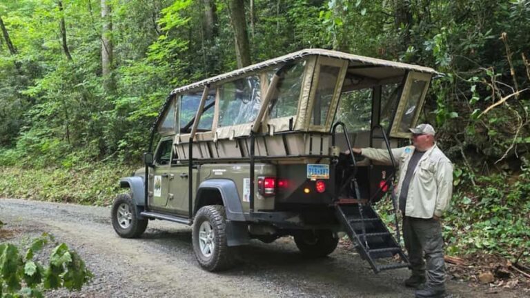 Pisgah Forest, NC: Waterfall Adventure Tour - The Value of the Experience