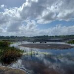 Pitch Lake and the Hanuman Murti, Temple in the Sea. Tour - Who Should Take This Tour?