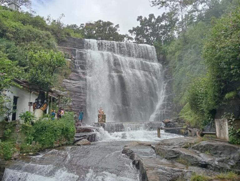 Plantations Tuk-Tuk Tour in Nuwara Eliya - The Practicalities