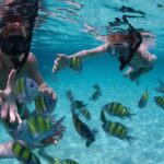 Platinum Snorkeling Catamaran Excursion with Open Bar - Who This Tour Is Best For