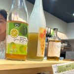 Plum Sake Tasting and Making in Japan - Analyzing the Value and Experience