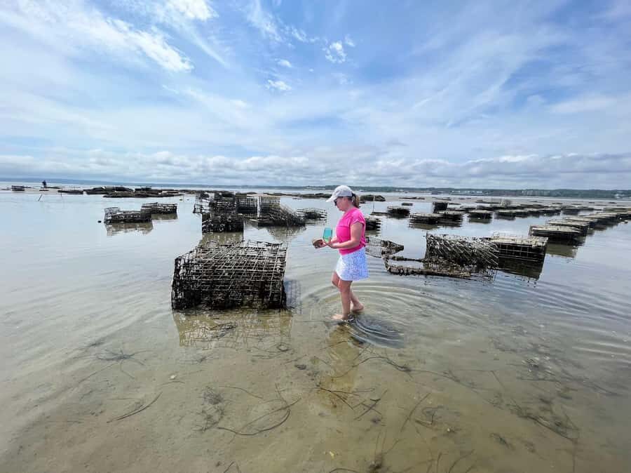 Plymouth: Oyster Farm Boat Tour with Tasting - What is the Oyster Farm Boat Tour?