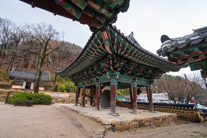 Pohang Customized Private Tour with a Licensed Tourguide - Who Is This Tour Best For?