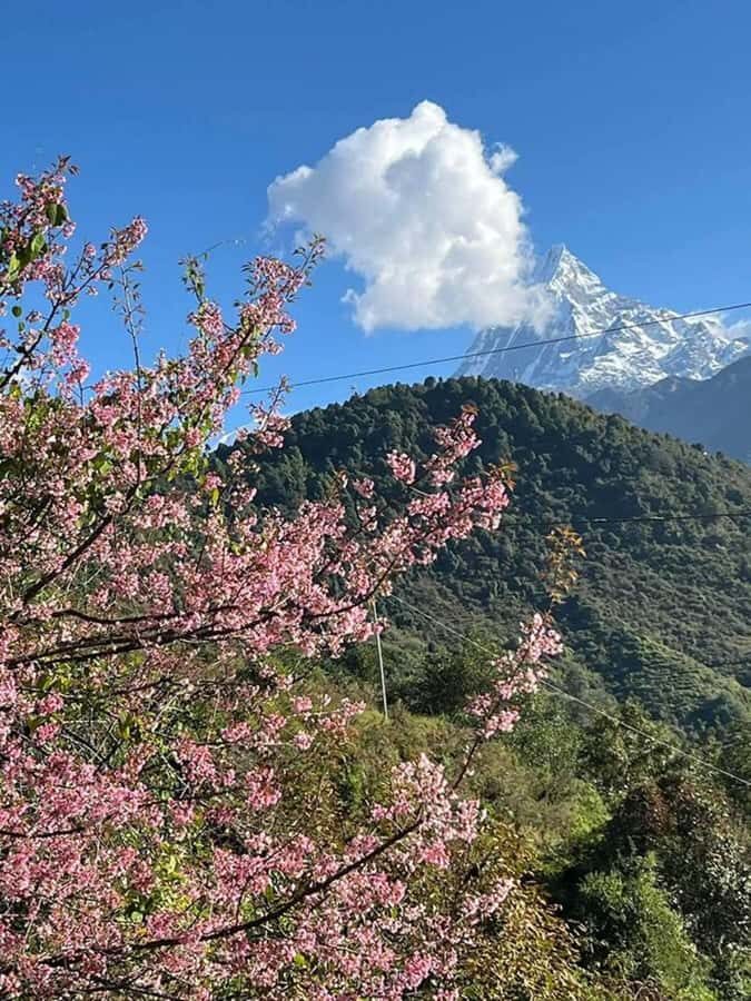 Pokhara: 2-Day Ghandruk Village Tour With Lady Guide - What Makes This Trek Truly Valuable