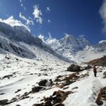 Pokhara: 5 Day Annapurna Base Camp Trek & Natural Hot Spring - What’s Included and How It Feels for the Traveler