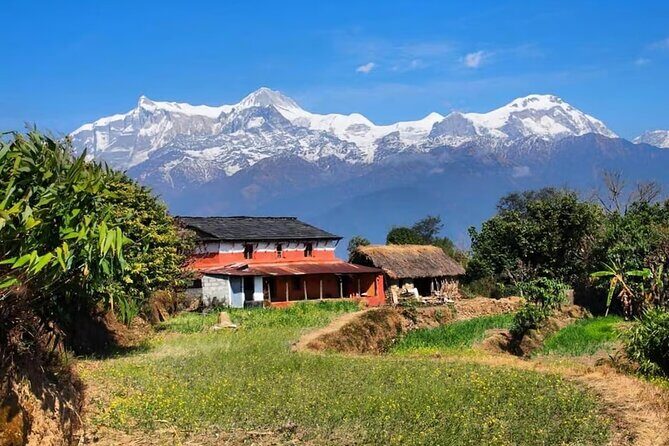 Pokhara: Day Hike at Annapurna Mountain Foothills - Detailed Breakdown of the Itinerary