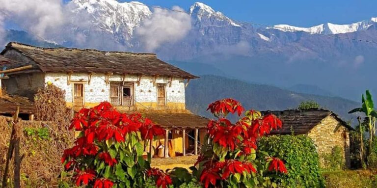 Pokhara: Day Hike to Australian Camp with Guide & Lunch - Who Will Love This Hike?