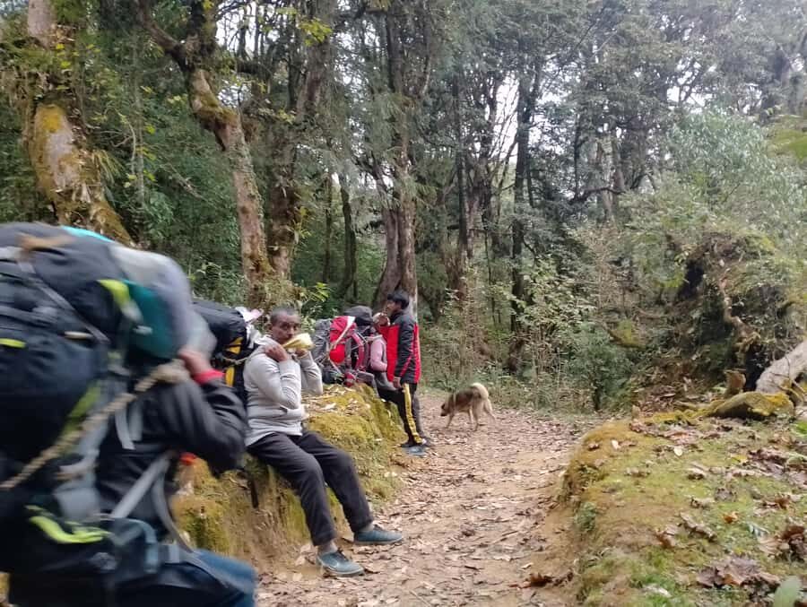 Pokhara: Mulde Hidden Lake, Annapurna Base Camp Adventure - The Itinerary: What to Expect Each Day