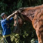 Pokhara: Poon Hill Culture Trek & Village Homestays (4-Day) - Practical Details and What It Means for You