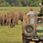 Polonnaruwa Cycling: Paddy-Field Lunch with Eco Park Safari - Who Will Love This Tour?