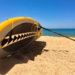 Pompano Beach: Stand Up Paddle Board Rental - Who Should Book This Experience?