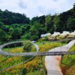 Pongyang Jungle Coaster & Zipline (Transfer) - What to Expect: From Jungle Coaster to Treetops