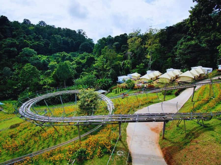 Pongyang Jungle Coaster & Zipline (Transfer) - What to Expect: From Jungle Coaster to Treetops