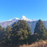 Poon Hill Trek - Practicalities & Considerations
