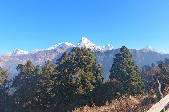 Poon Hill Trek - Practicalities & Considerations