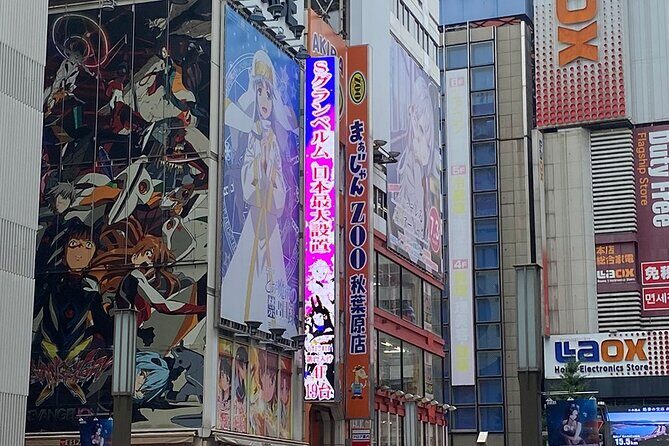 Pop Culture in Tokyo: A Self-Guided Walking Tour - What to Expect from the Experience