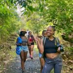 Pork Highway and Rainforest Excursion with transport - What the Reviews Say