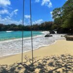 Portland Jamaica Private Day Tour - The Practicalities and Value