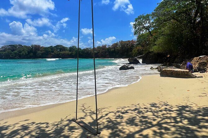Portland Jamaica Private Day Tour - The Practicalities and Value