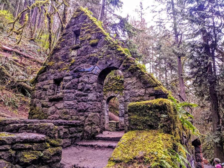 Portland Oregon: Forest Park Guided Hike with Witches Castle - Authentic Portland Experiences You’ll Cherish