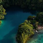 Portland Rio Grande Rafting & Boston Jerk Day Tour - Practical Details and Value