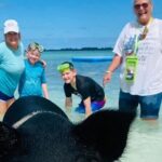 Powerboat and Snorkel Experience with Swimming Pigs and Turtles - Practical Details and Tips for Travelers