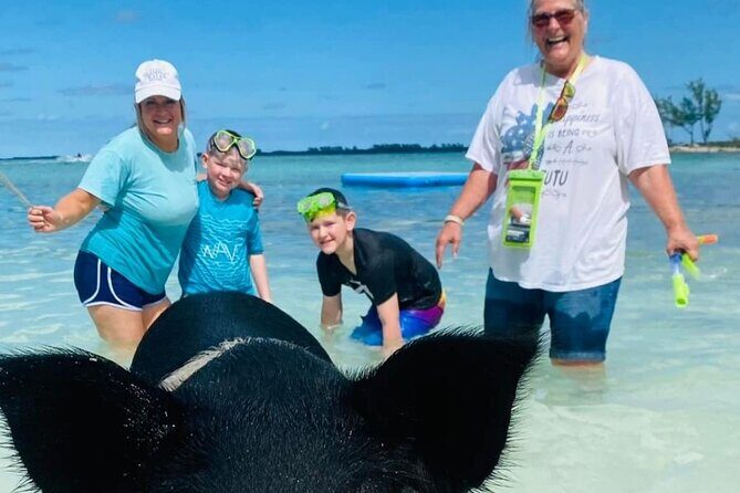 Powerboat and Snorkel Experience with Swimming Pigs and Turtles - Practical Details and Tips for Travelers
