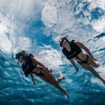 Premium Morning Snorkel Sail with Champagne Brunch - The Value & Review Insights