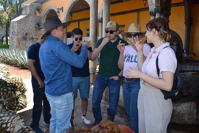 Premium Tour to the Tequila Route with Professional Tasting - Authentic Experiences That Matter