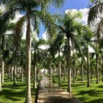 Presidential Suites By Lifestyle- Puerto Plata Airport - Price and Value Analysis