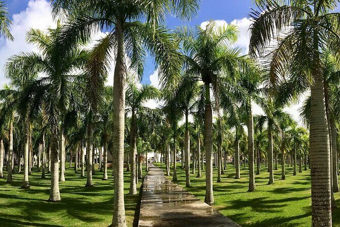 Presidential Suites By Lifestyle- Puerto Plata Airport - Price and Value Analysis