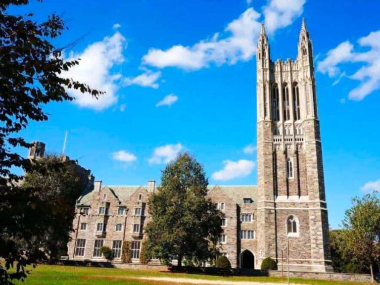Princeton: Princeton University Guided Walking Tour - What the Tour Offers in Practice