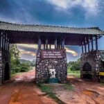 Private 02 Day Leopard Safari in Yala from Colombo - What the Experience Means for Travelers