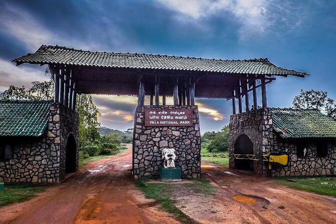 Private 02 Day Leopard Safari in Yala from Colombo - What the Experience Means for Travelers