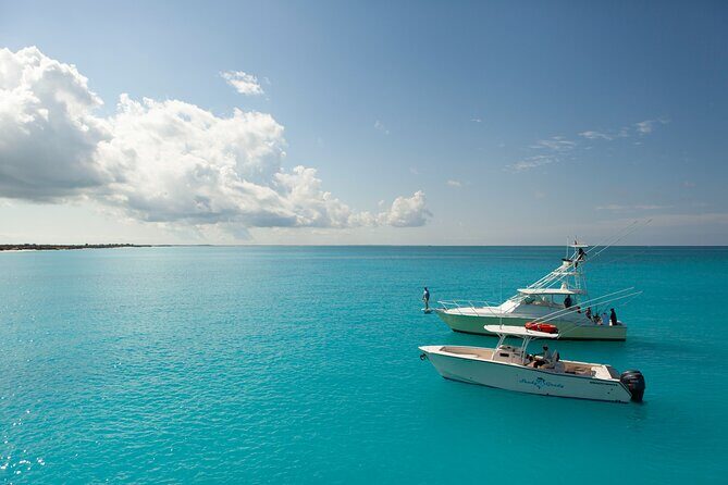Private 1/2 Day Afternoon Bottom Fishing Charter on "Shady Grady" - Why We Loved the Experience