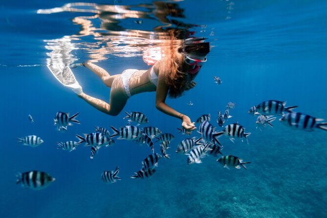 Private 1/2 Day Afternoon Snorkel / Cruise on "Shady Grady" - Who Is This Tour Best For?